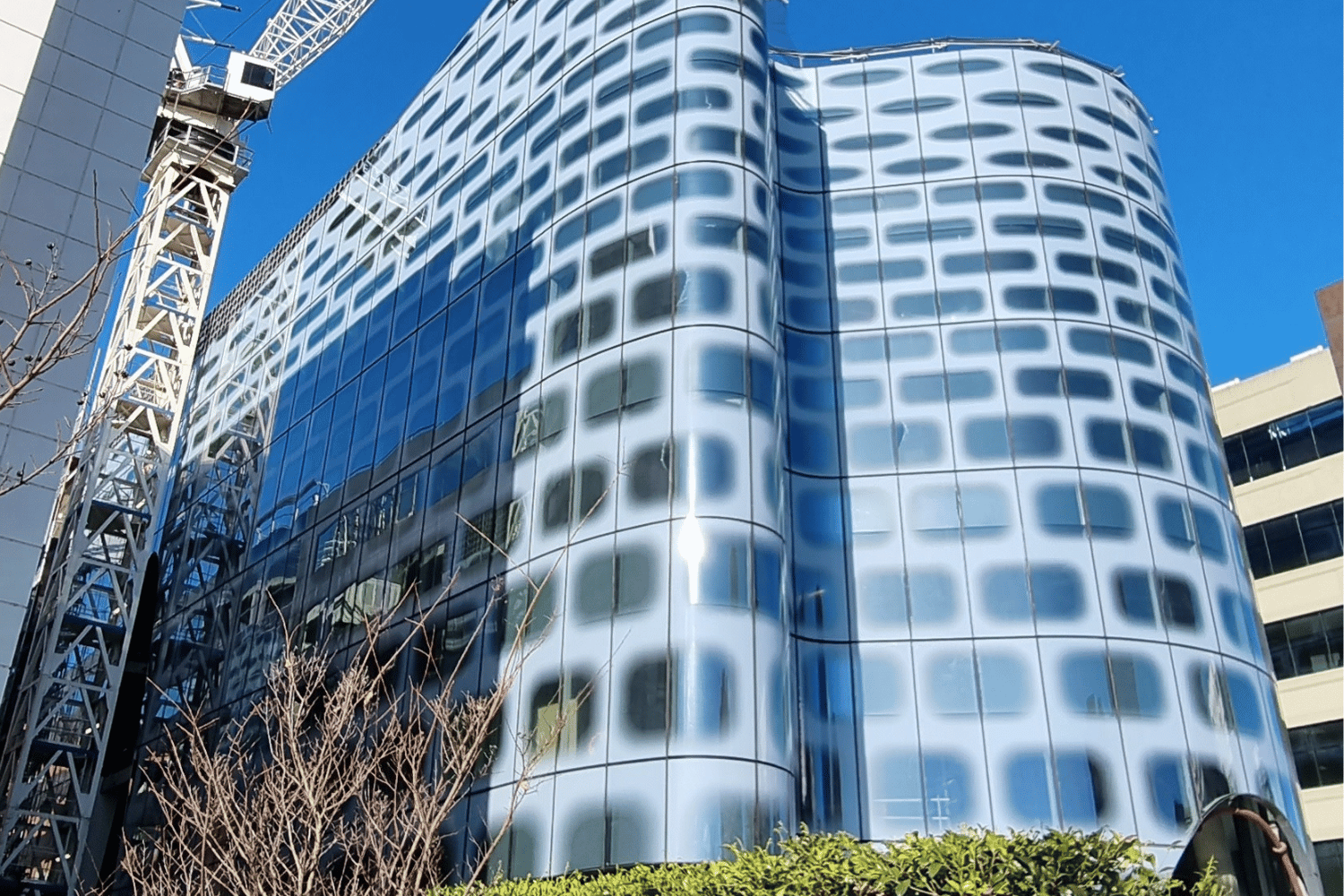 Paula Fox Melanoma and Cancer Centre | Alfred Health