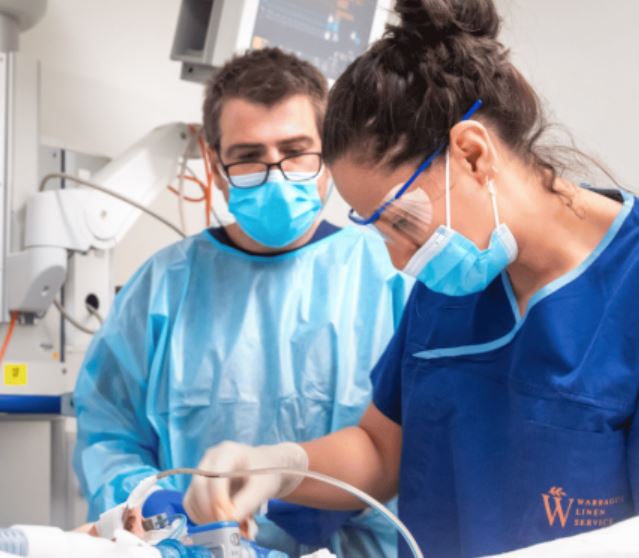 Working together for better health in Victoria’s south-east | Alfred Health