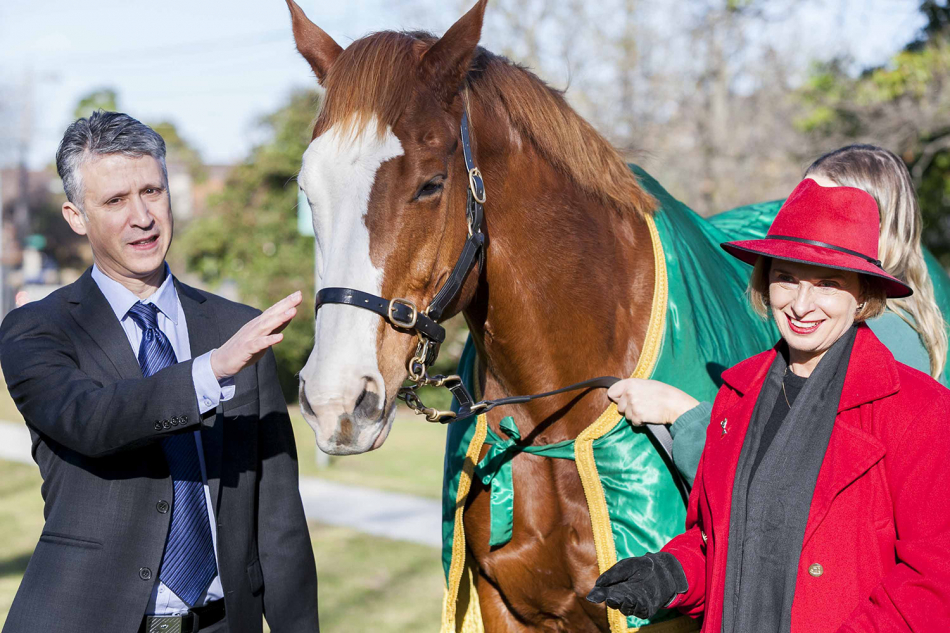 Champion racehorse charms at Caulfield Hospital | Alfred Health