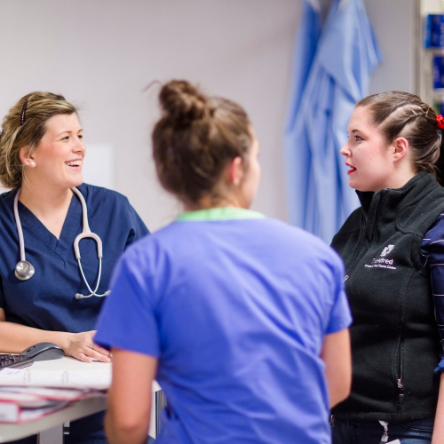 Graduate Nurse Programs | Alfred Health
