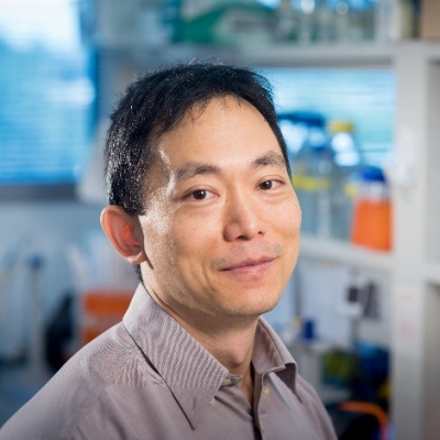 Dr Wayne Hauw | Alfred Health