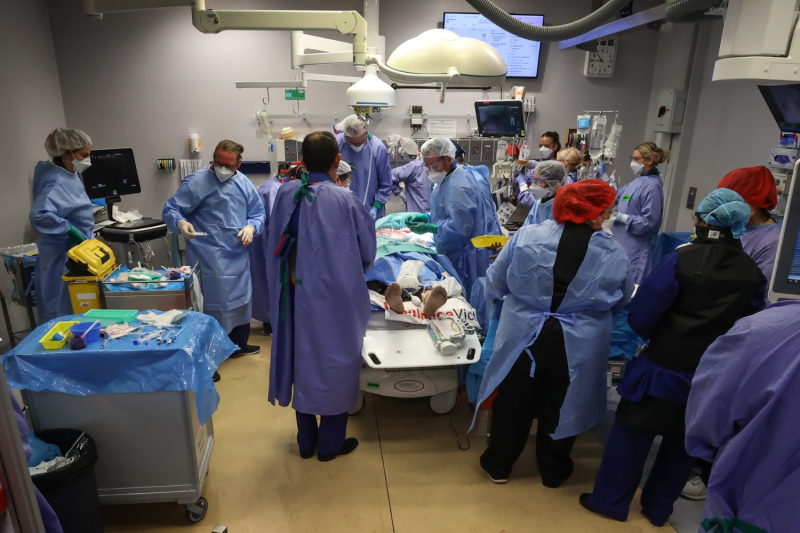 Careers | Alfred Health