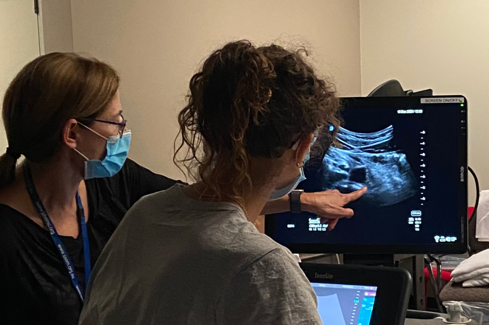The Ultrasound Course | Alfred Health